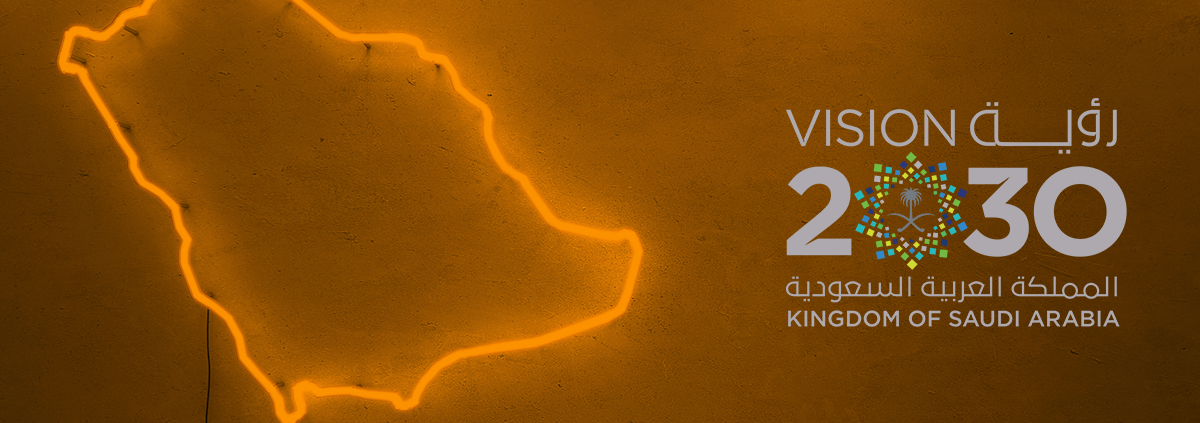 تفكيك رؤية 2030